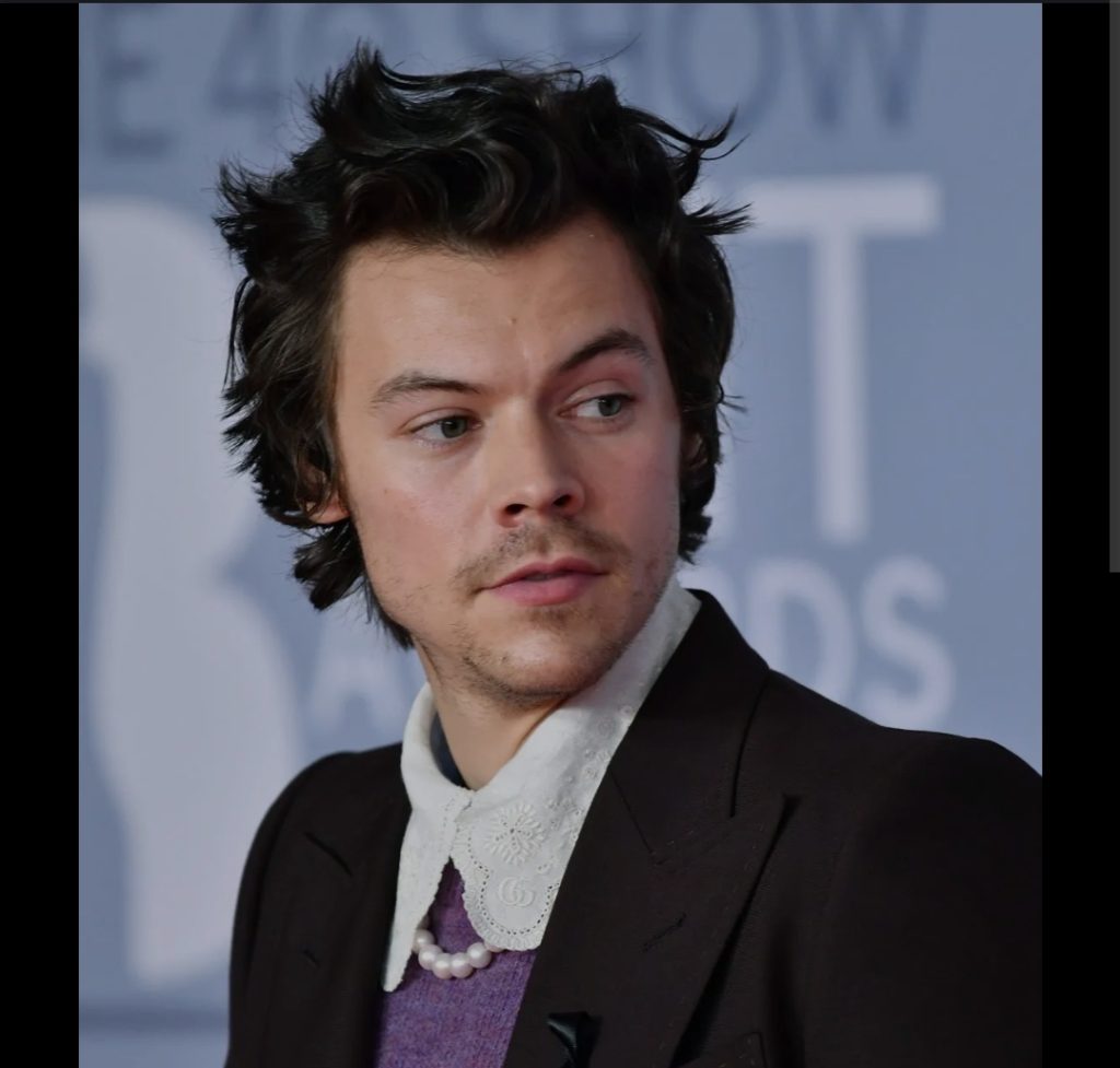 Harry Styles Wikipedia, Biography, early life, Career, occupation, Date ...