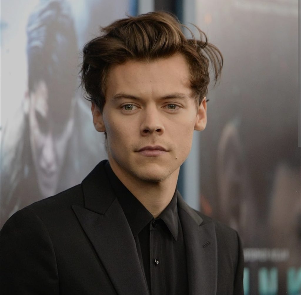 Harry Styles Wikipedia, Biography, early life, Career, occupation, Date ...